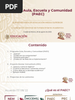 Que Es El PAEC - (Infografia) | PDF