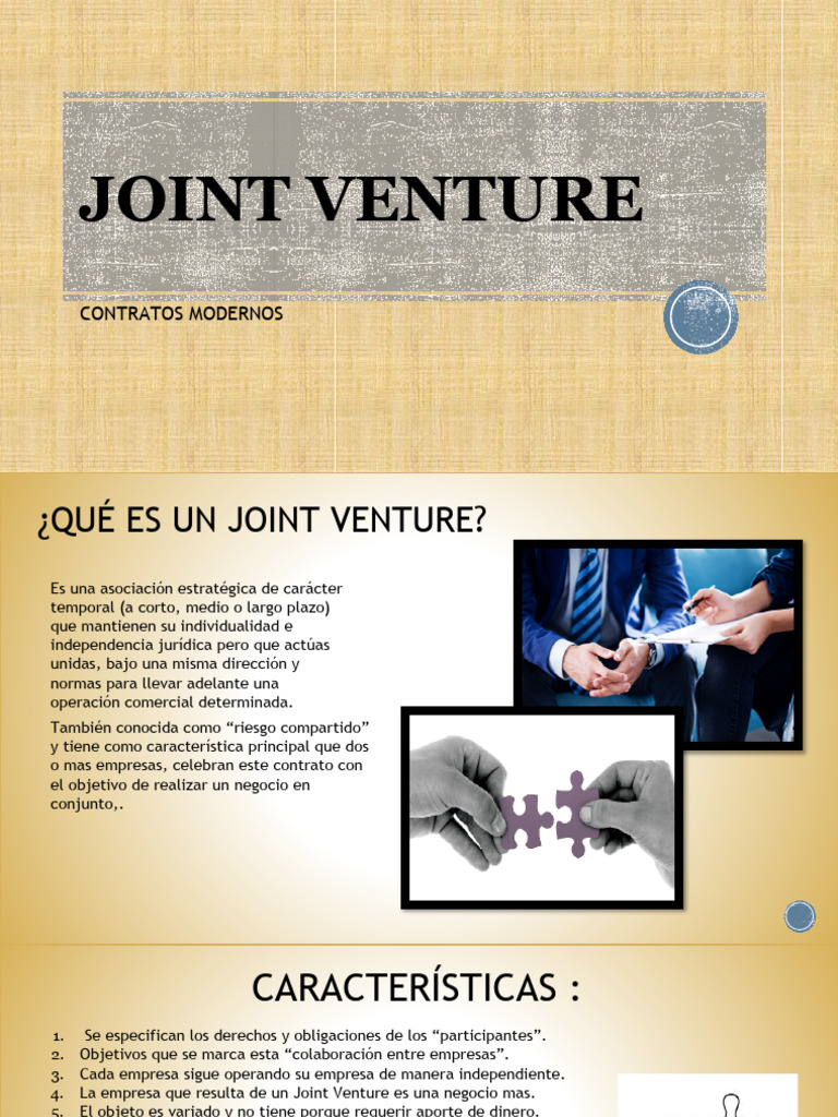 Joint Venture | PDF