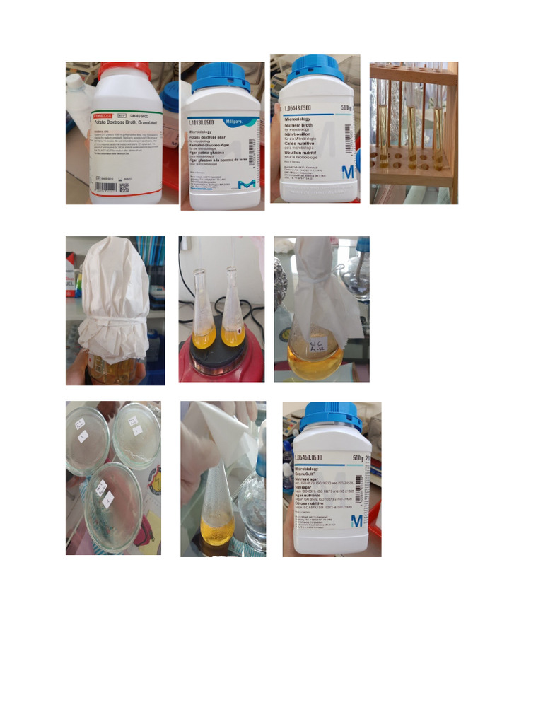 gambar mikro 3.2 | PDF