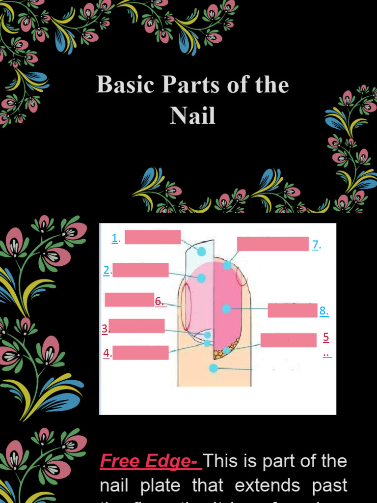 Essential Nail Parts and Functions | PDF | Home & Garden