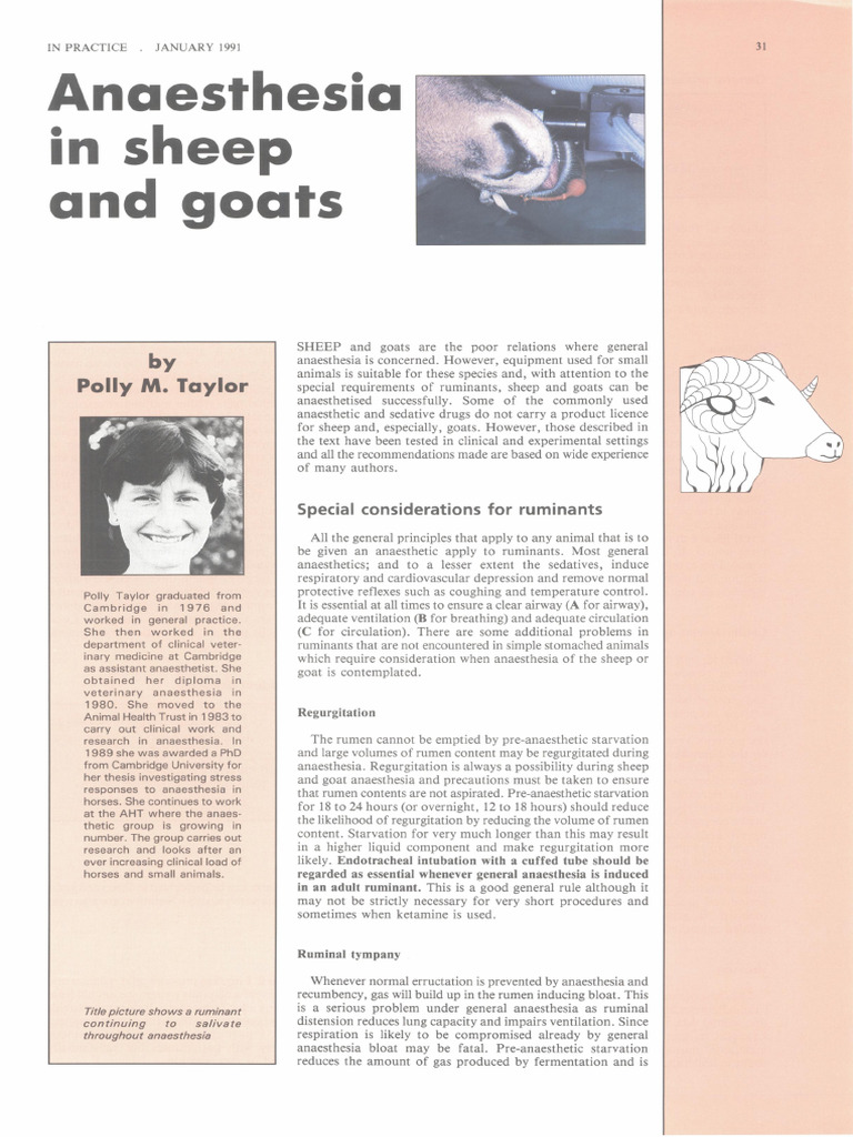Goat and Sheep Anesthesia Protocols | PDF | Anesthesia | Analgesic