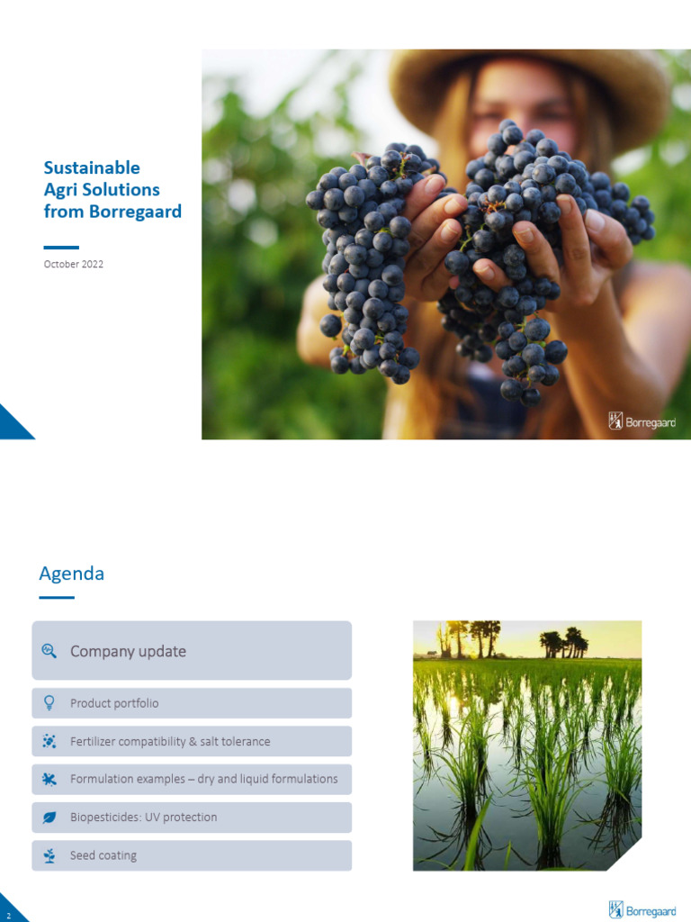 Borregaard's Sustainable Lignin Solutions | PDF | Life Cycle Assessment ...