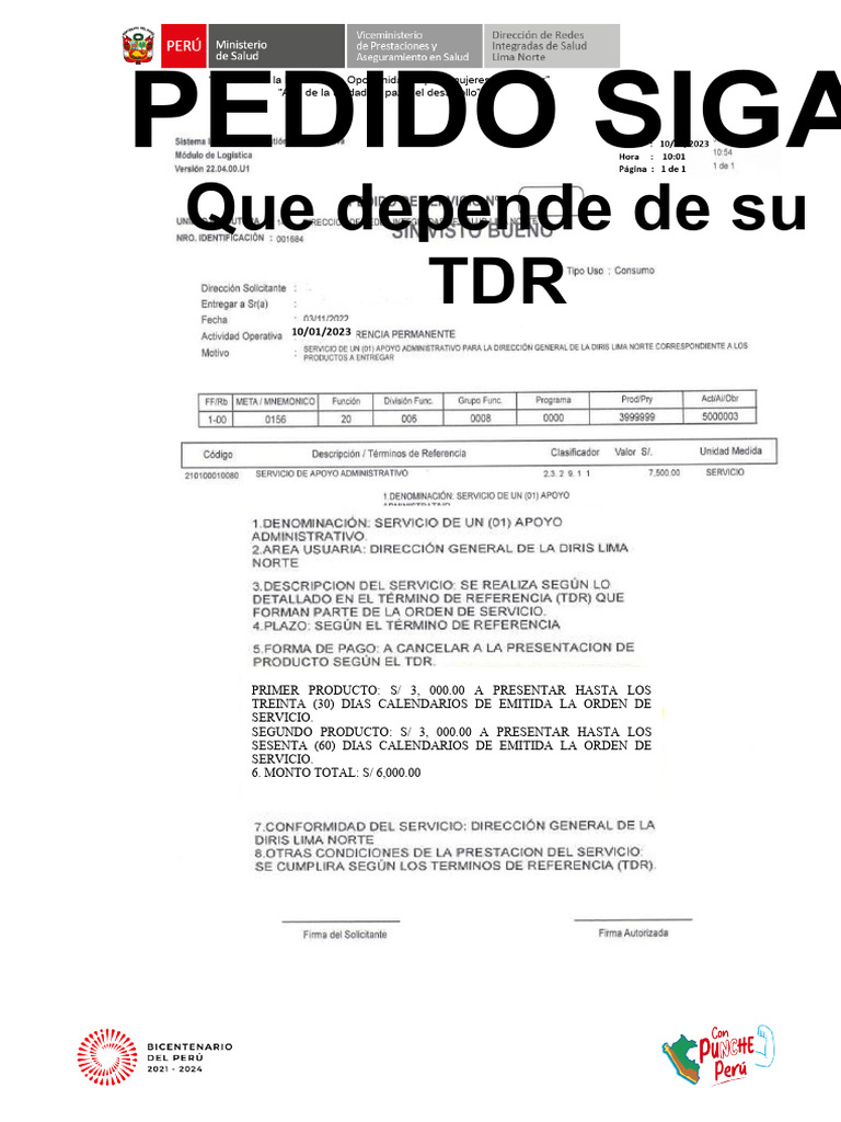 MODELO TDR SEPTIEMBRE UNICO PRODUCTO 2023 B | PDF | Corrupción política | Hospital