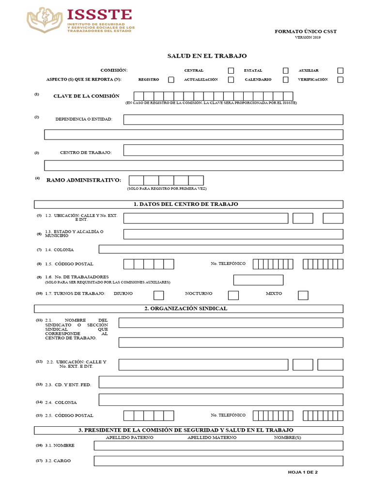 Formato CSST Salud en el Trabajo 2019 | PDF