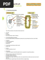 GCSE French Complex Structures Corrected Version | PDF | Morphology ...