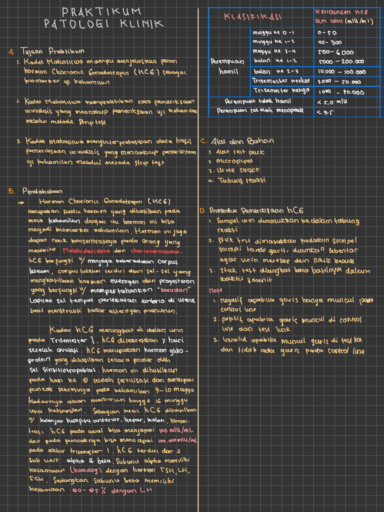 Untitled Notebook | PDF