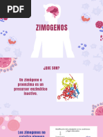 Zimogenos o Proenzimas | PDF | Salud y bienestar