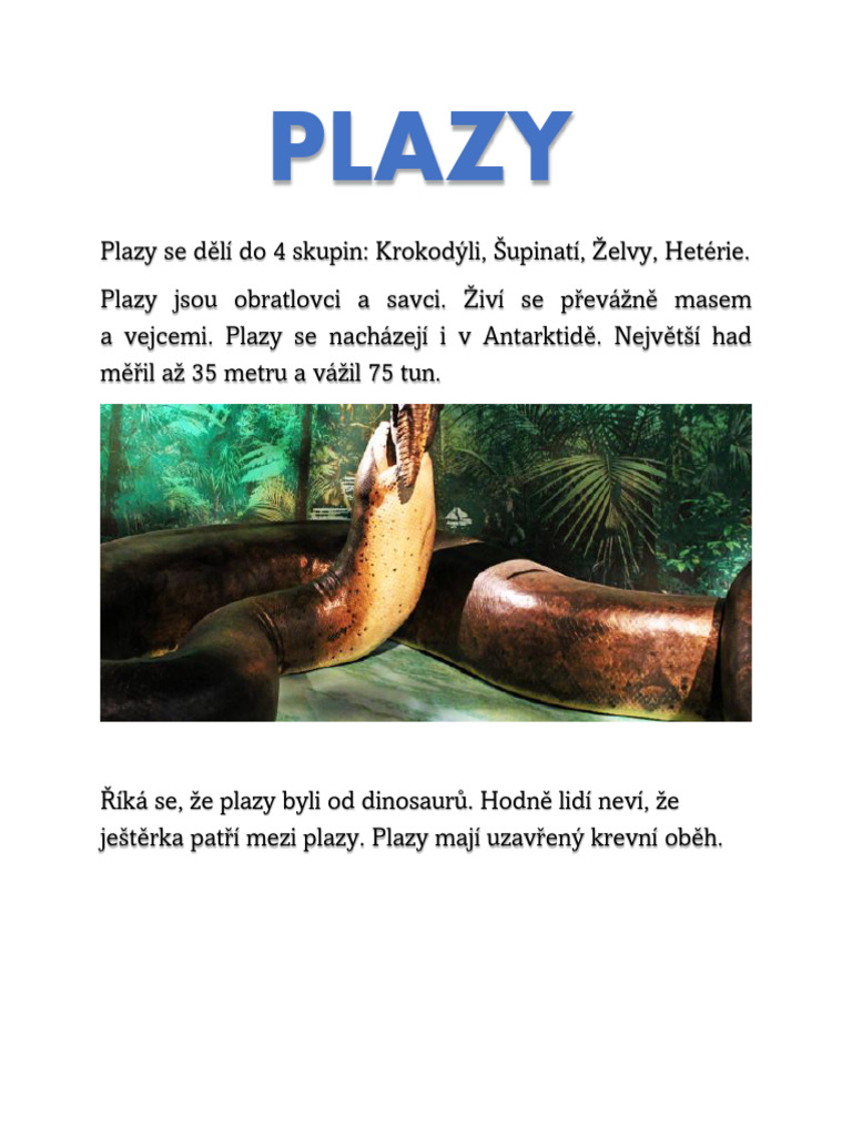 PLAZY | PDF
