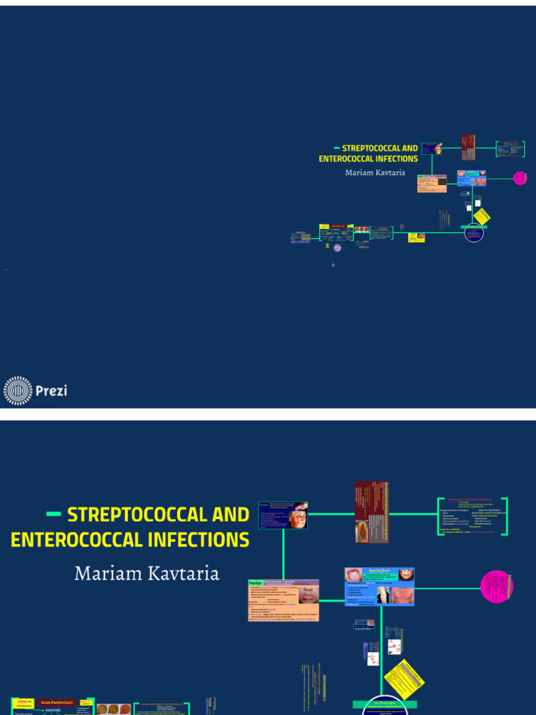 1.3 - Streptococcus and Enterococcus | PDF