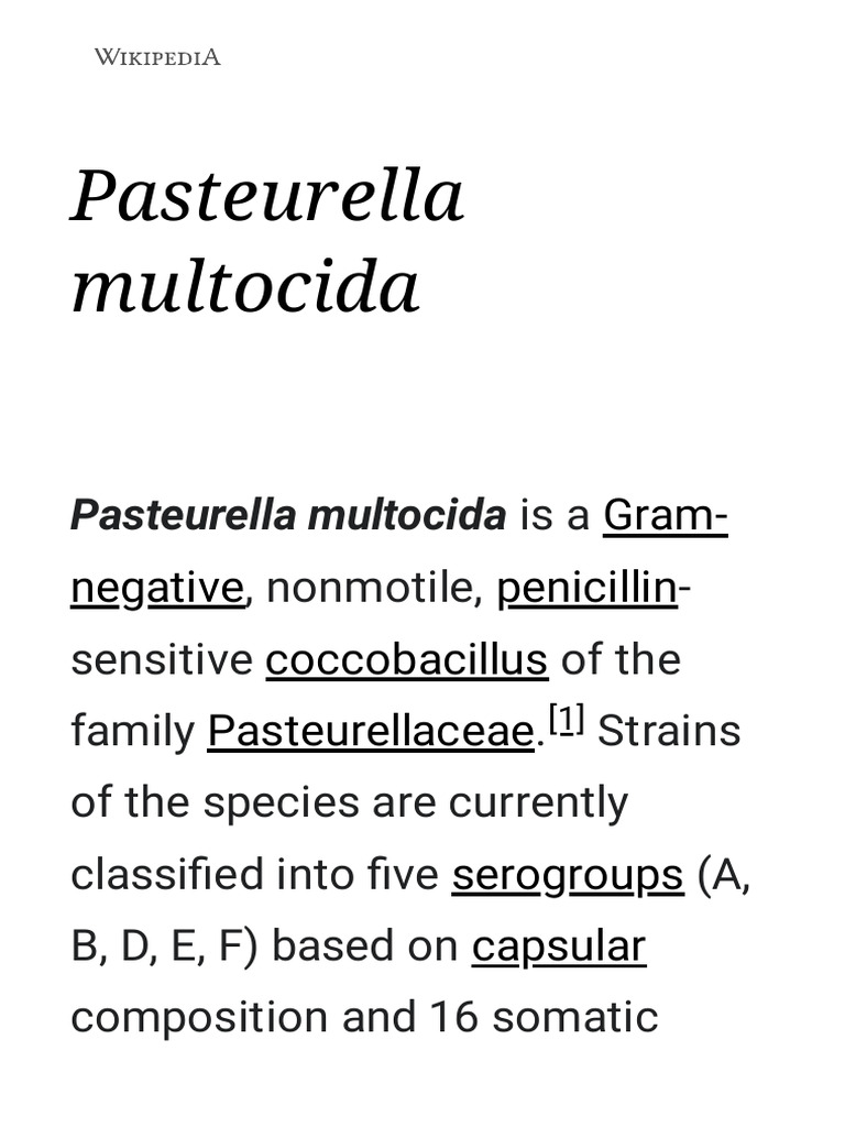 Pasteurella Multocida - Wikipedia | PDF | Immunology | Clinical Medicine