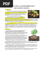 Asexual Reproduction | PDF | Potato | Organisms