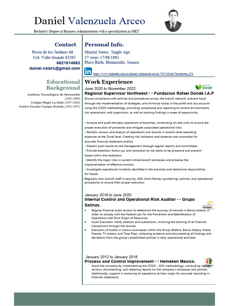 Daniel Valenzuela Arceo - Job Summary | PDF | Audit | Internal Control