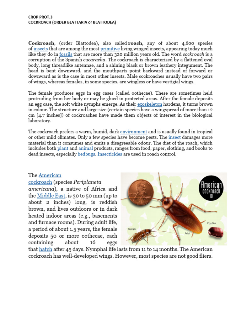 REFERENCE For Cockroach. CP3 | PDF | Insects | Arthropods