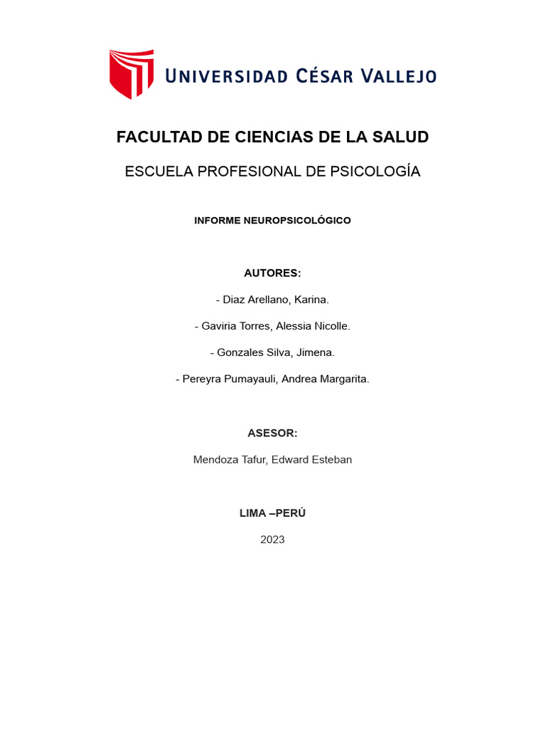 Informe Pruebas | PDF Informe Pruebas | PDF