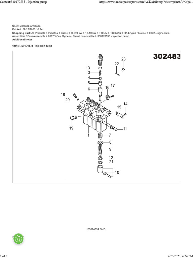 Context - 330170535 - Injection Pump | PDF
