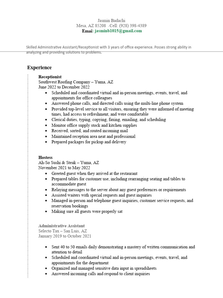 Jasmin Badachi Resume | PDF | Information Technology | Telecommunications