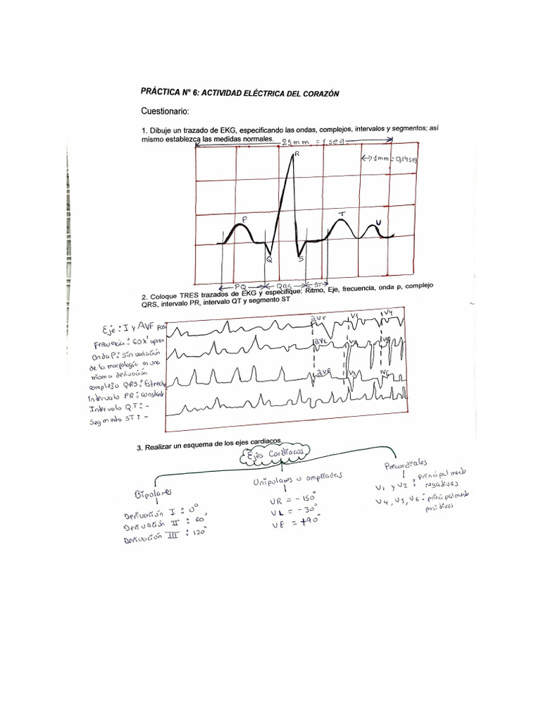 Práctica N°6 | PDF