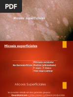Piedraia Hortae | PDF | Hongo | Infección