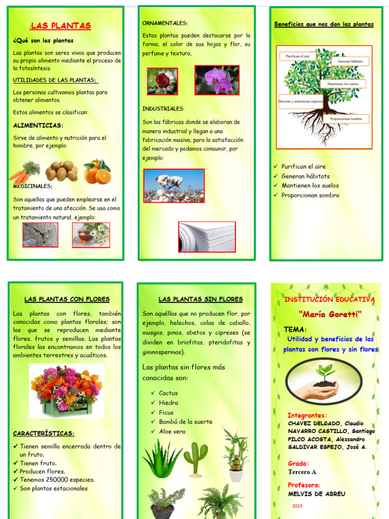 Las Plantas Triptico | PDF | Plantas | Alimentos