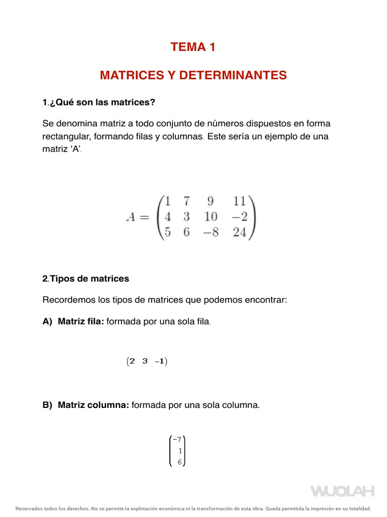 Tema 1 Matrices Y Determinantes: 1 .¿Qué Son Las Matrices? | PDF