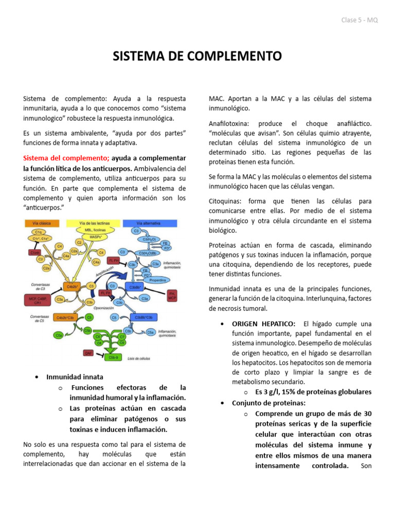 Sistema de Complemento | Descargar gratis PDF | Sistema complementario | Sistema inmune