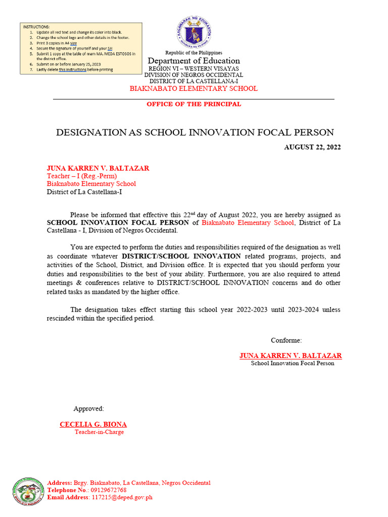 School Innovation Focal Person Appointment | PDF