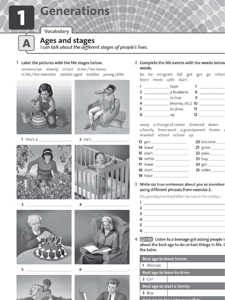 Life Stages (Intermediate) | PDF