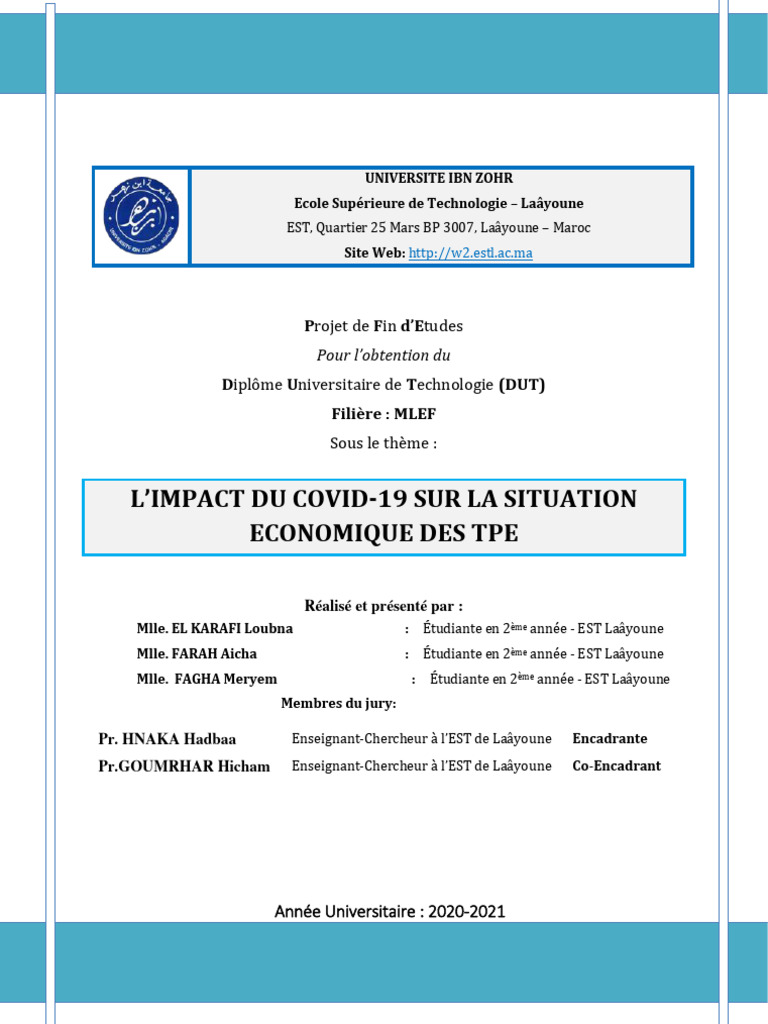 Rapport Du Pfe | PDF