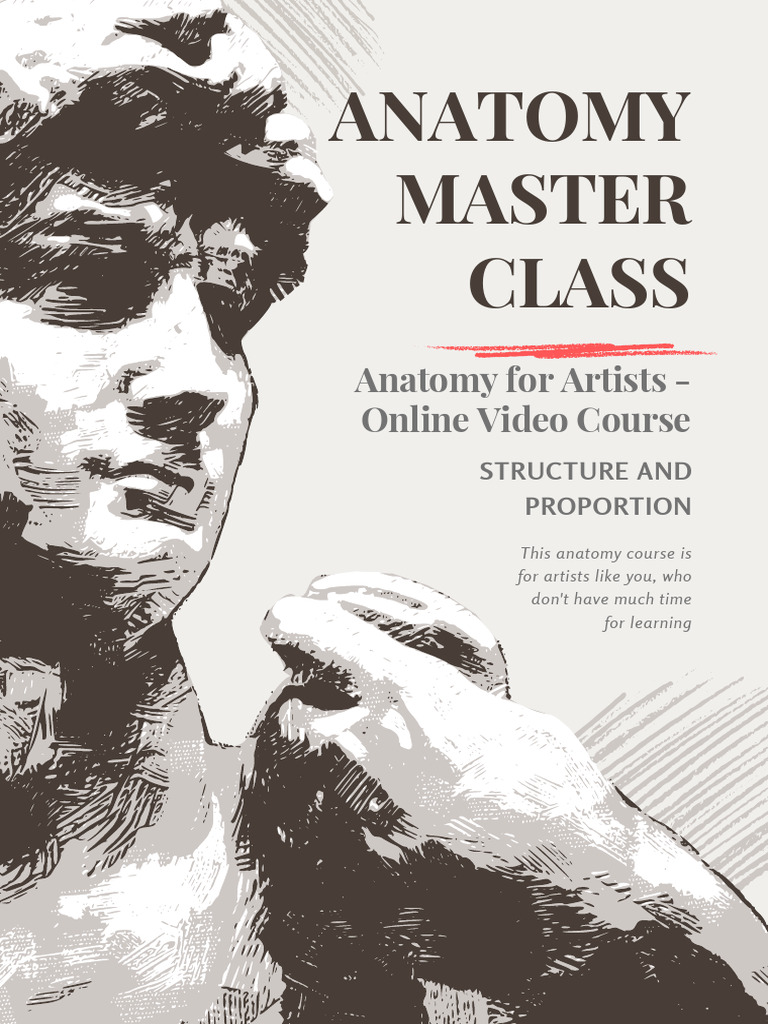 Anatomy Course for Artists Online | PDF