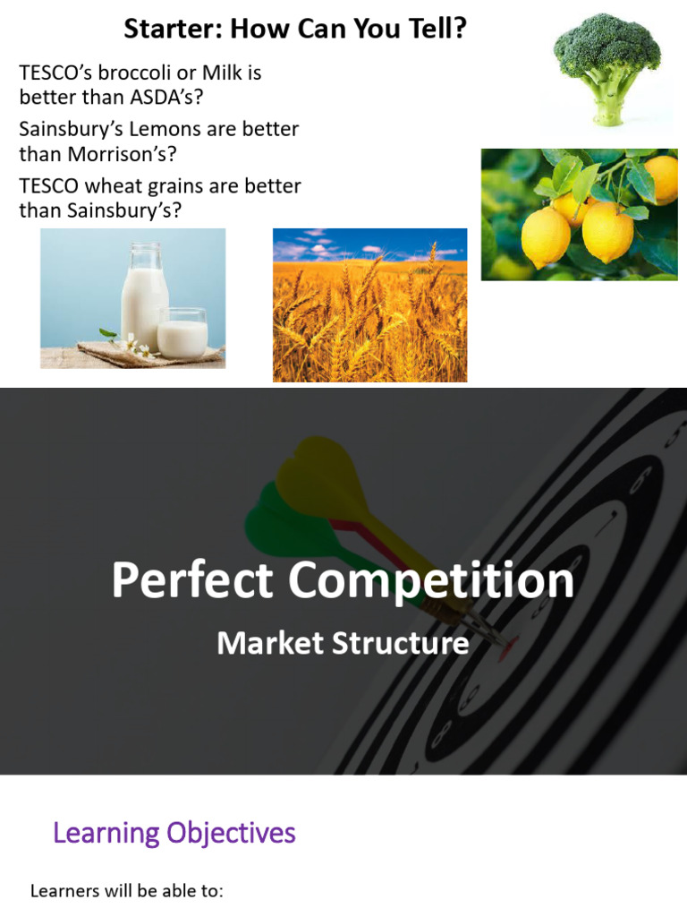 Perfect Competition | PDF | Long Run And Short Run | Perfect Competition