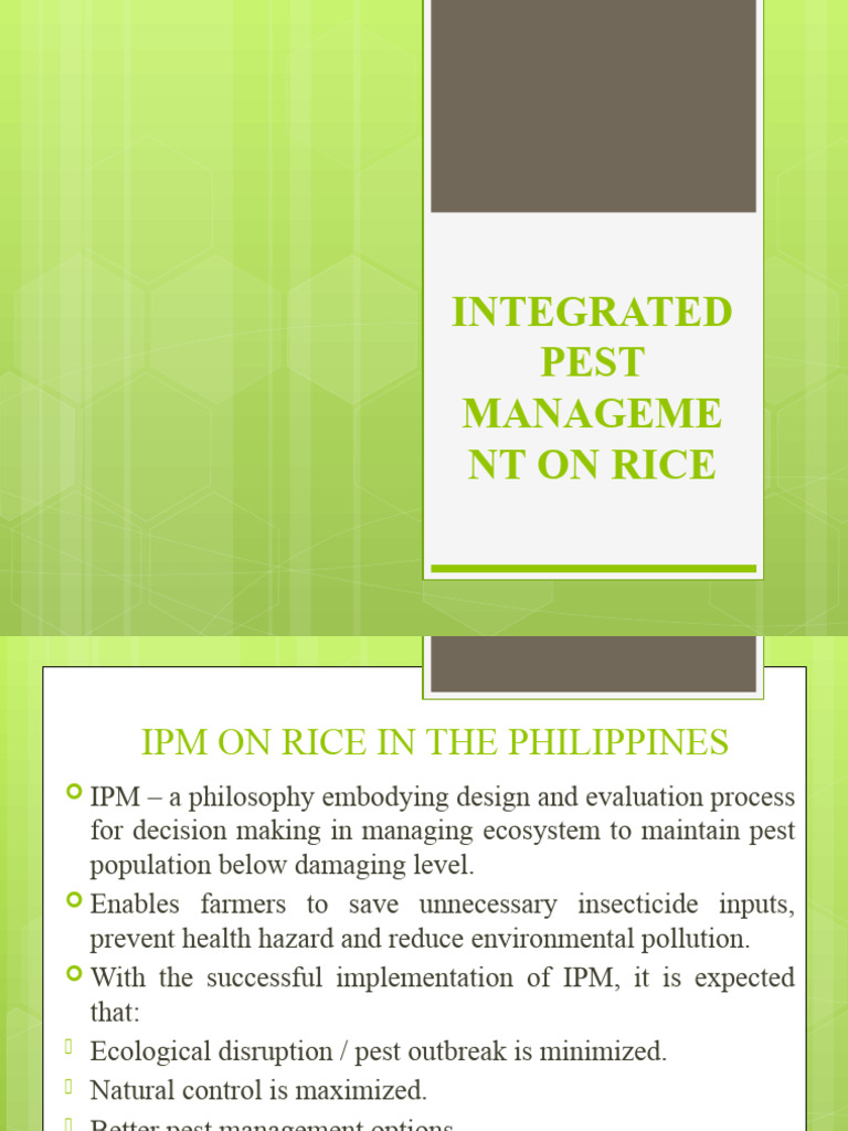Ipm in Rice | PDF | Rice | Agriculture