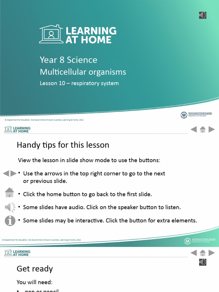 Yr8 Science R2 Lesson 10 Pdf Respiratory Tract Respiratory System
