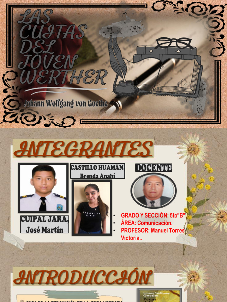 Las Cuitas Del Joven Werther | PDF
