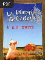 carta RAI MAPU (3) | PDF