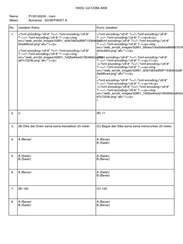 Hasil Uji Coba AKM 20231004081656 | PDF