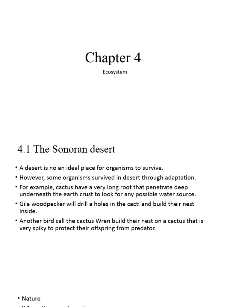 Chapter 4 | Download Free PDF | Desert | Mangrove Chapter 4 | Download Free PDF | Desert | Mangrove