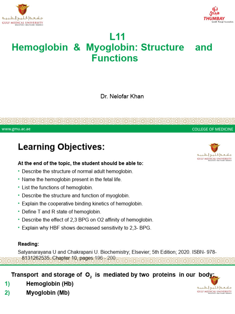 L11 Hemoglobin Structure-Function | PDF | Hemoglobin | Molecular Biology