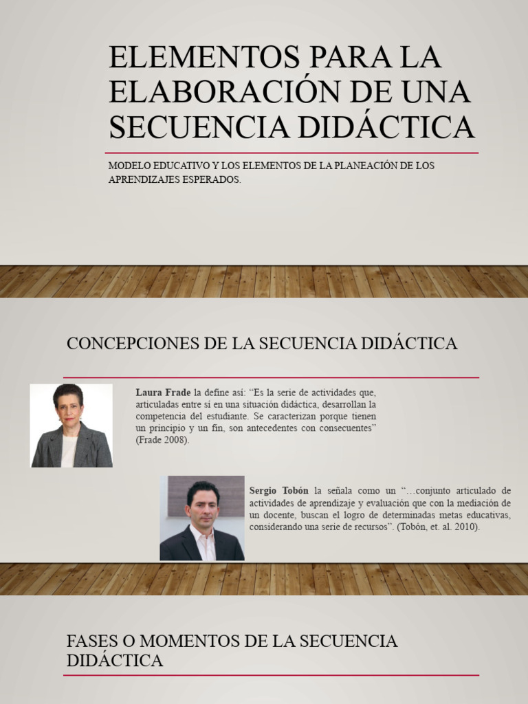 Elementos para La Elaboración de Una Secuencia Didáctica | PDF ...