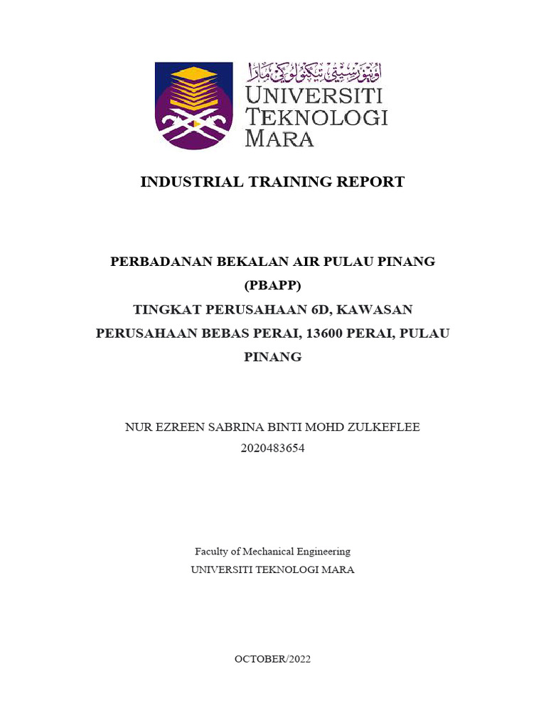 LI Report Example2 | PDF | Pipe (Fluid Conveyance) | Plumbing
