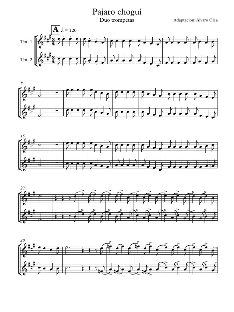 Pajaro Choguí - Partitura y Partes | PDF
