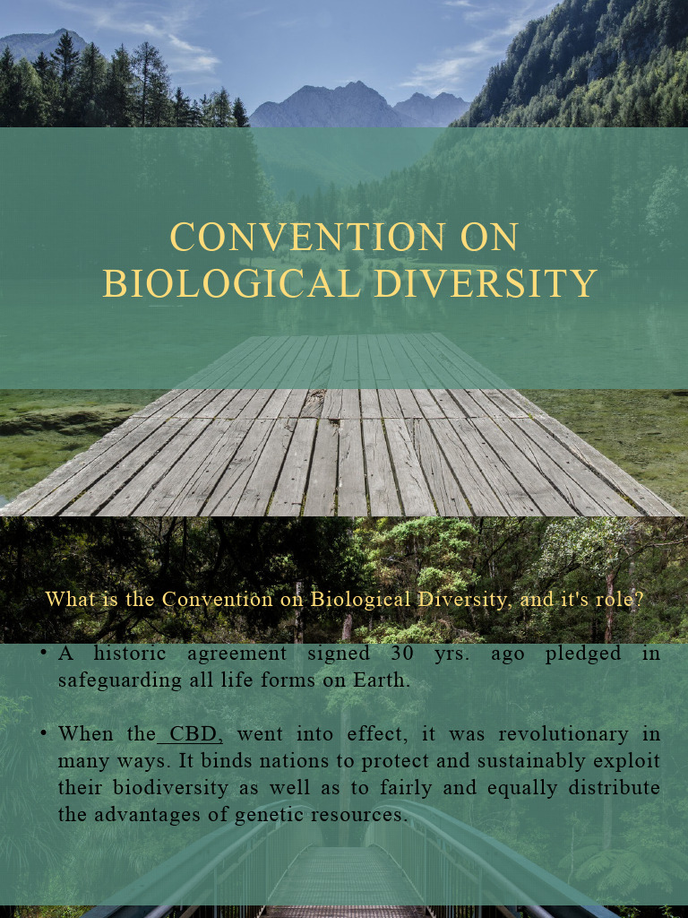 Convention On Biological Diversity | PDF | Conservation Biology | Biodiversity