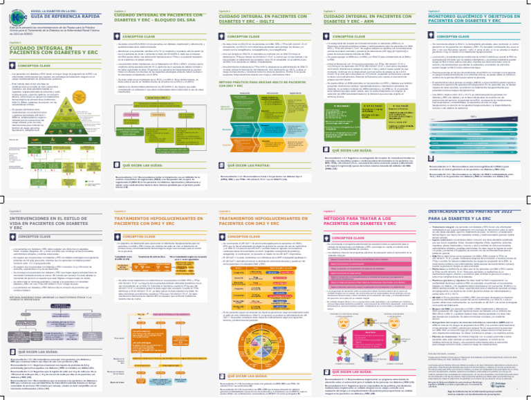 2022 KDIGO Diabetes in CKD - Quick Reference Guide - SC-CRP-13218 - EC ...