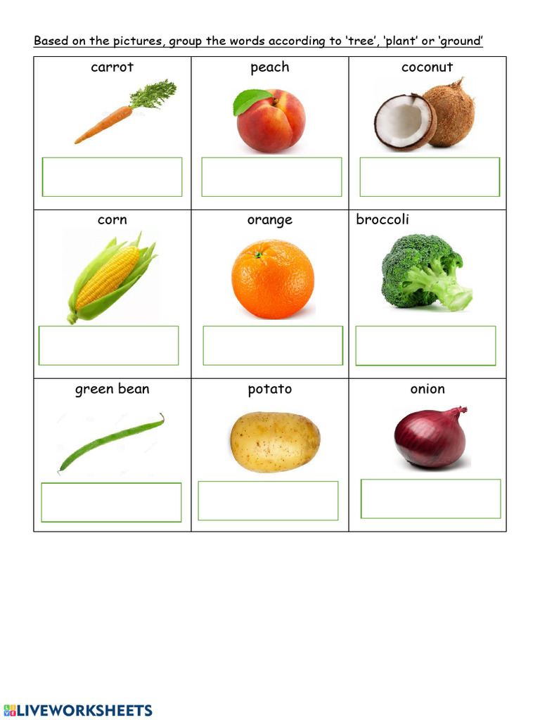 English year 2 | PDF