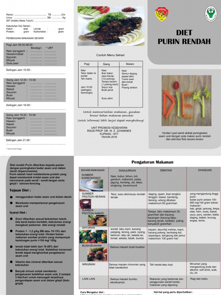 Diet Purin Rendah | PDF