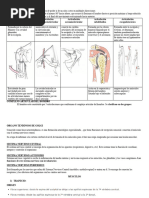 Chair Stand Test | PDF | Pie