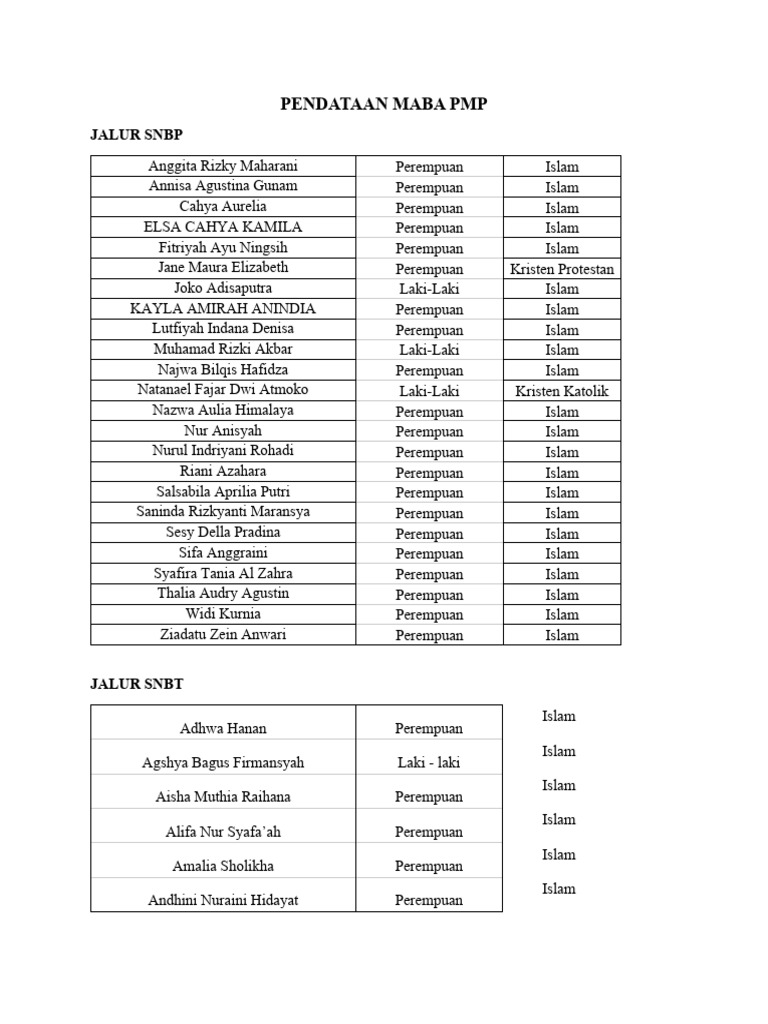 Pendataan Maba PMP | PDF