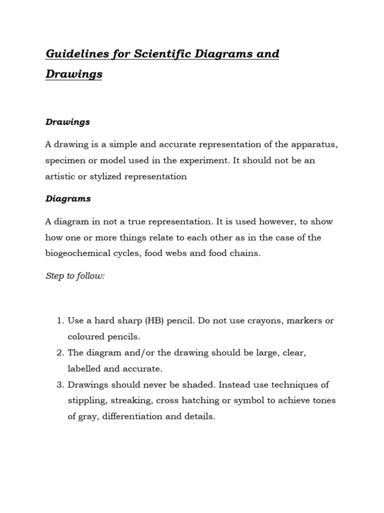 Guidelines For Scientific Diagrams and Drawings | PDF | Drawing
