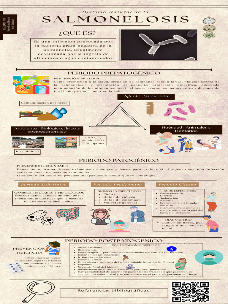 Inforgrafia Salmonella | PDF | Salmonela | Salud pública