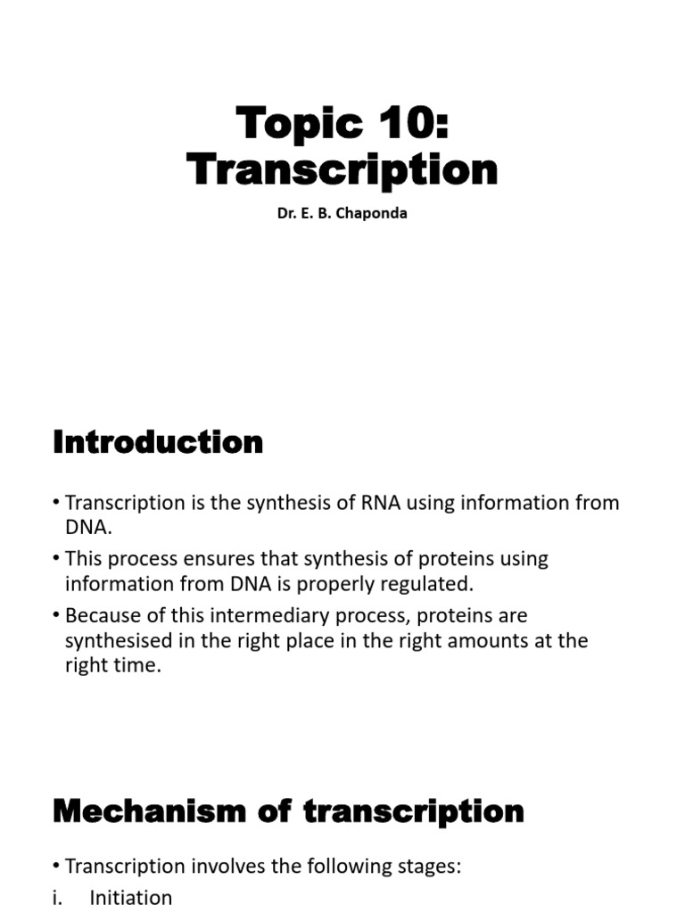 Topic 10 Transcription Lecture Notes | PDF | Messenger Rna | Rna Topic 10 Transcription Lecture Notes | PDF | Messenger Rna | Rna