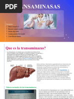 Azoados | PDF | Bienestar